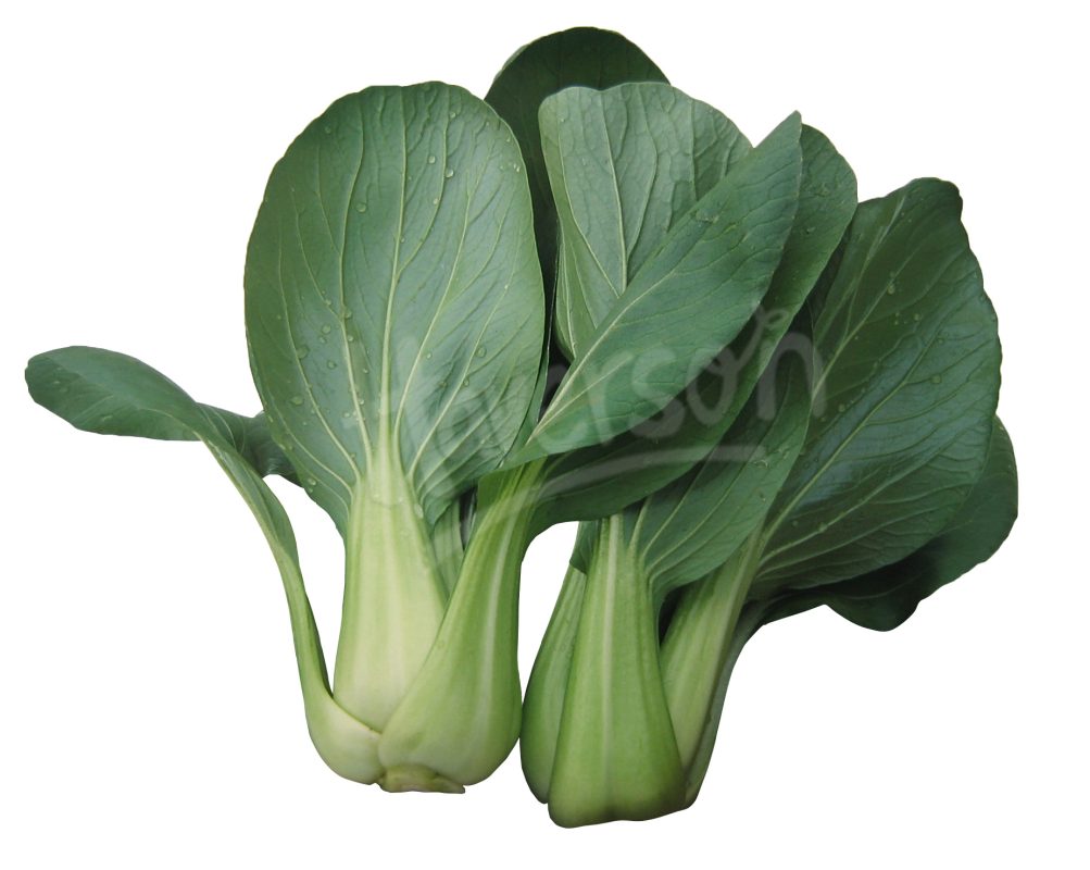 Chingkang F1 - Haverson