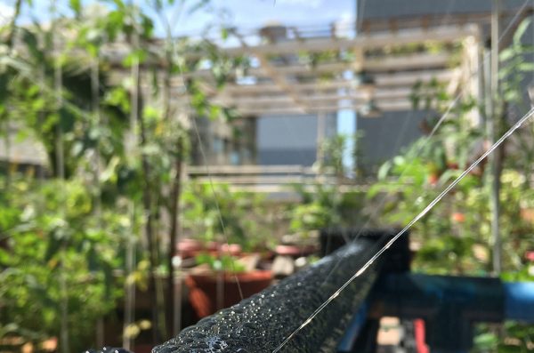 Irrigation System - Haverson