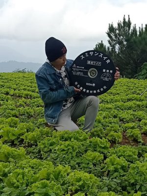 Irrigation System - Haverson