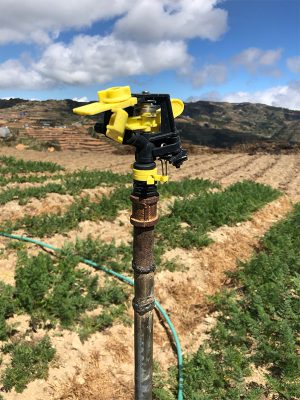 Irrigation System - Haverson