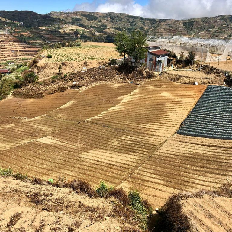 Irrigation System - Haverson