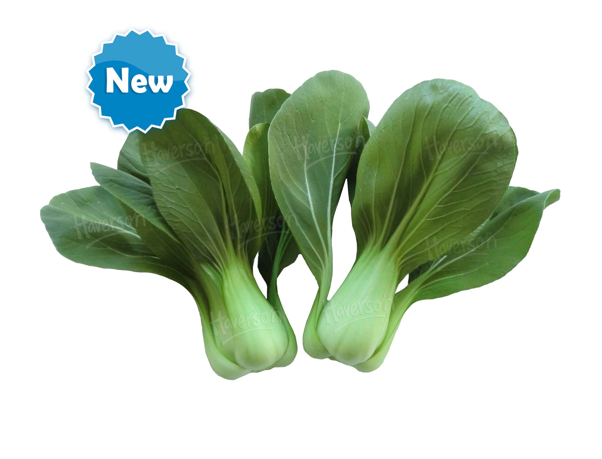 Chingkang II F1 - Haverson